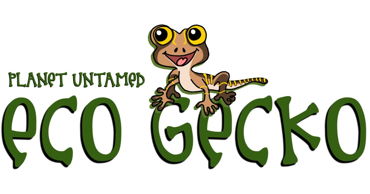 About Magazine - EcoGecko